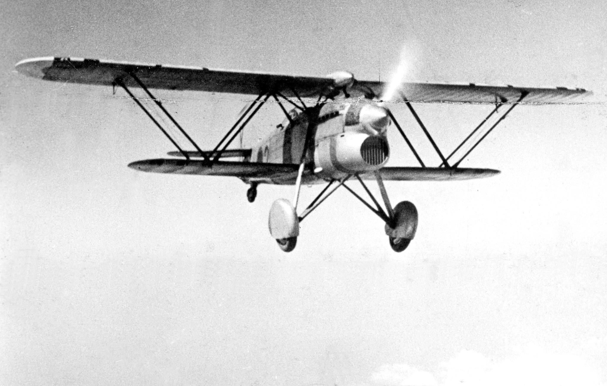 Fiat CR.32 - Aeronautica Militare